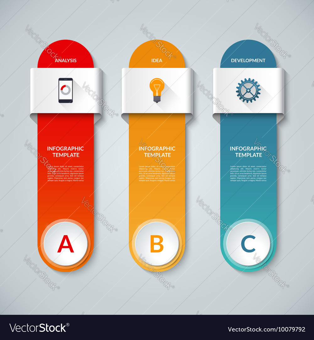 Infographic template with 3 options steps parts Vector Image