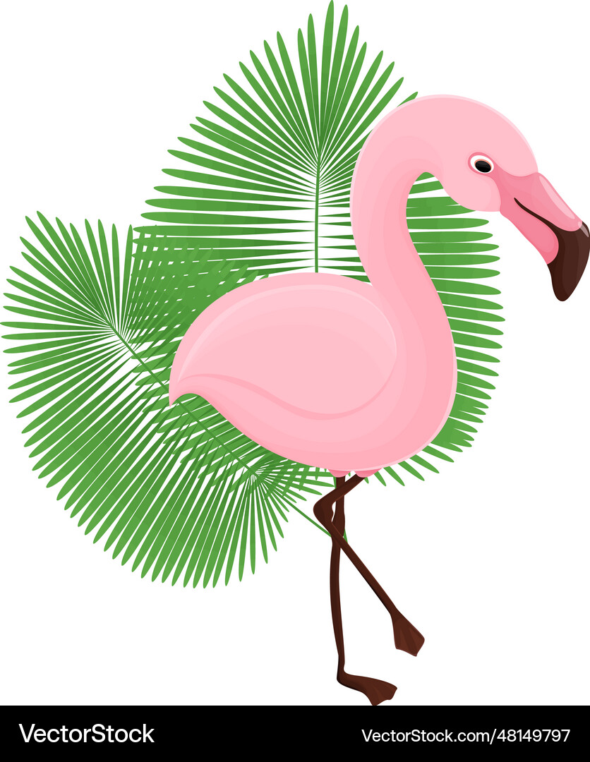 Cartoon flamingos Royalty Free Vector Image - VectorStock