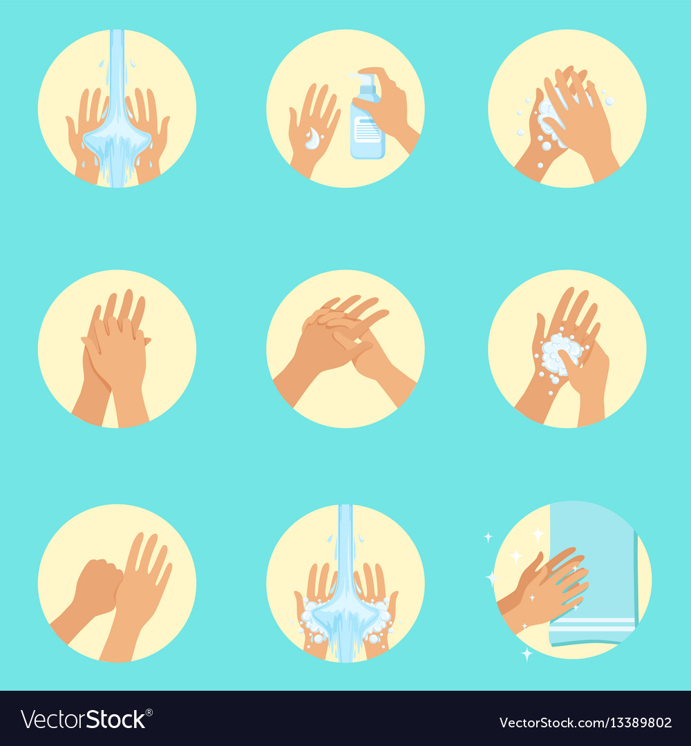Hands washing sequence instruction infographic Vector Image