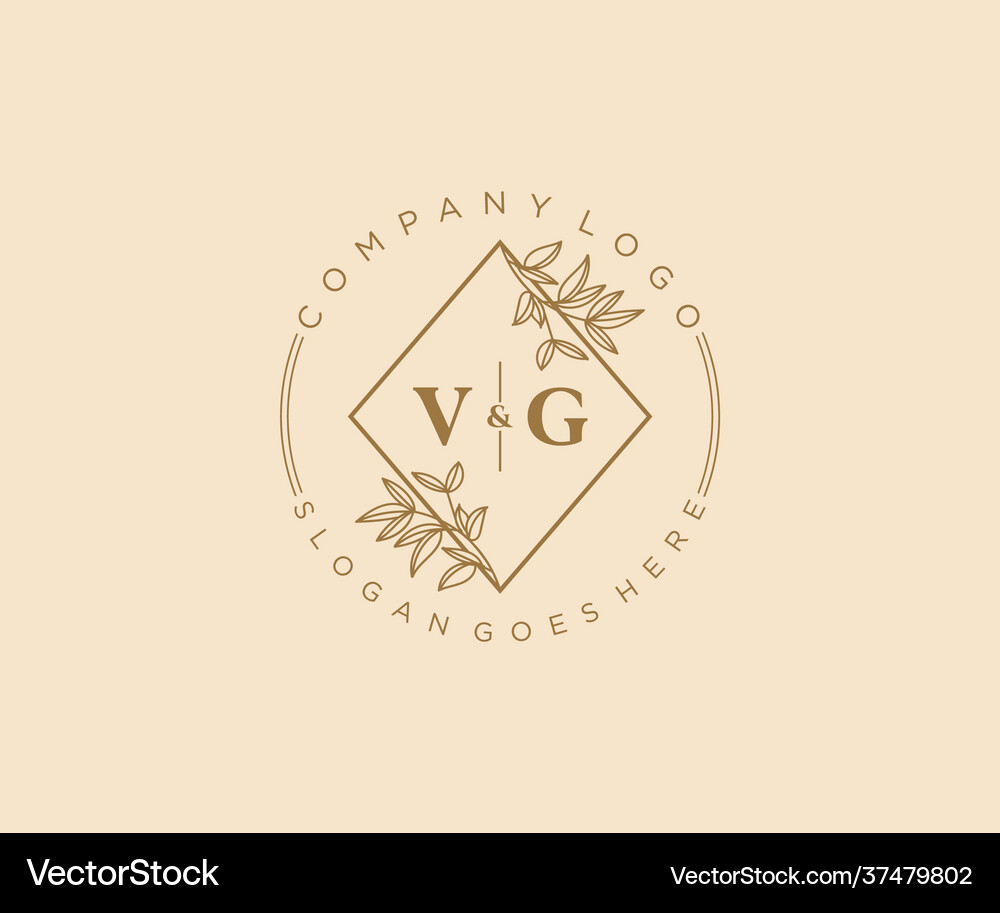Initial vg letters beautiful floral feminine Vector Image