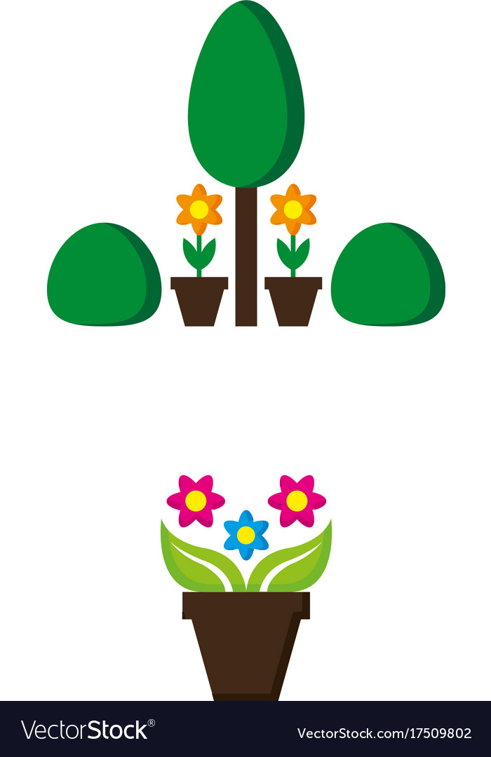 Plants Royalty Free Vector Image - VectorStock