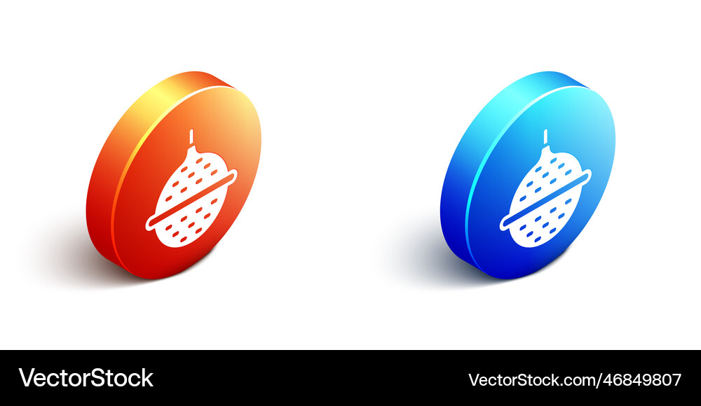 Isometric ball tea strainer icon isolated on white