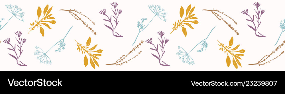 Sacred dried herb bunches seamless border Vector Image