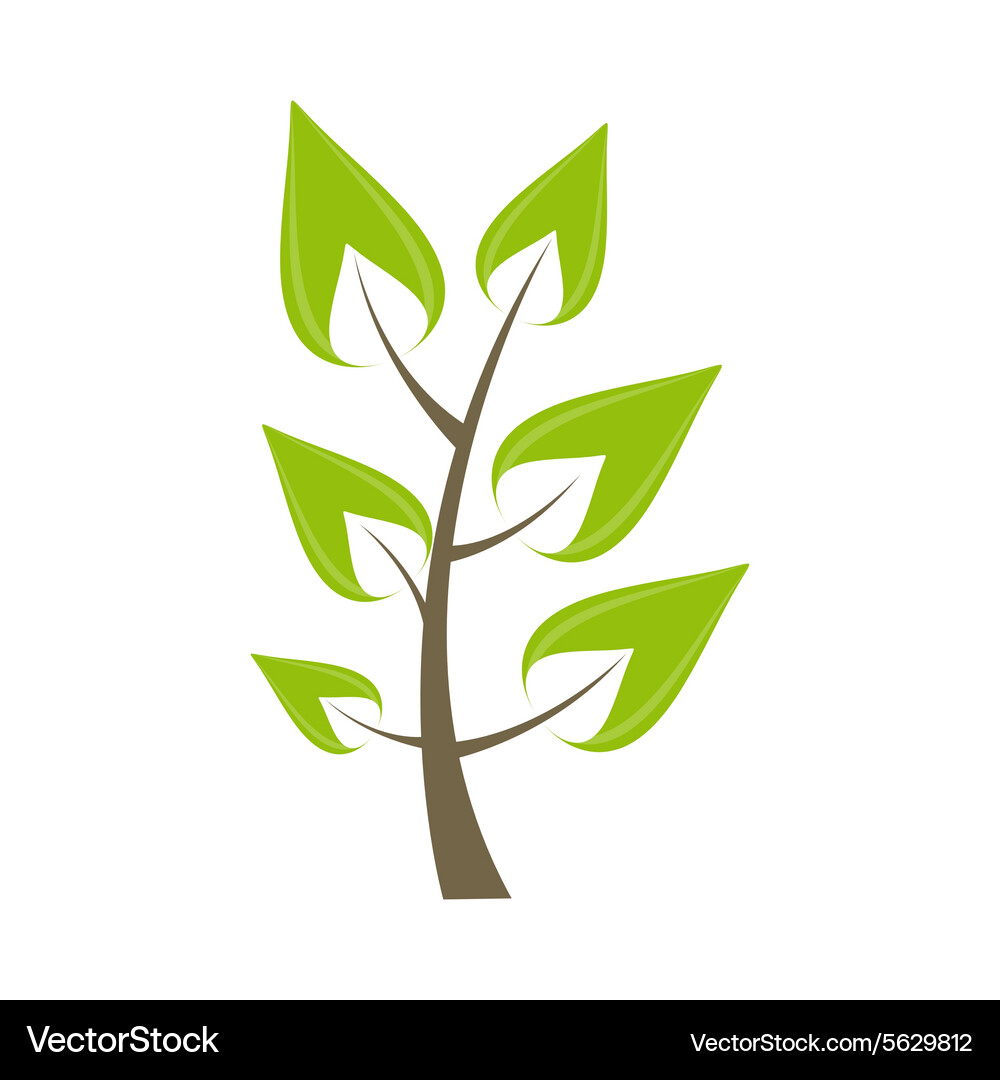 Beautiful green tree icon on a white background Vector Image