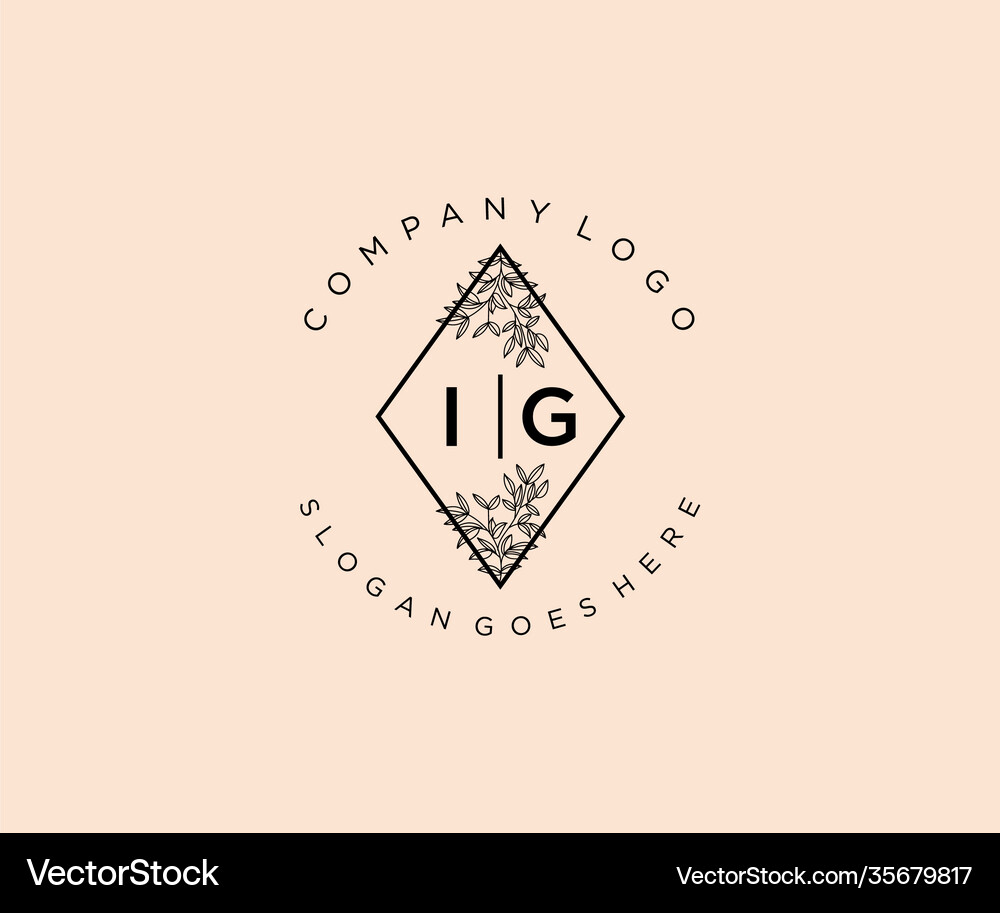 Initial ig letters beautiful floral feminine Vector Image