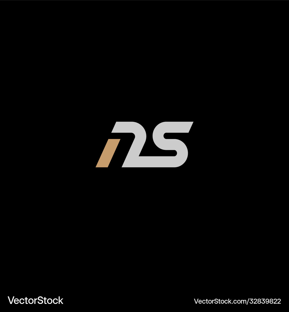 Abstract Letter NS Brand Logo Royalty Free Vector Image