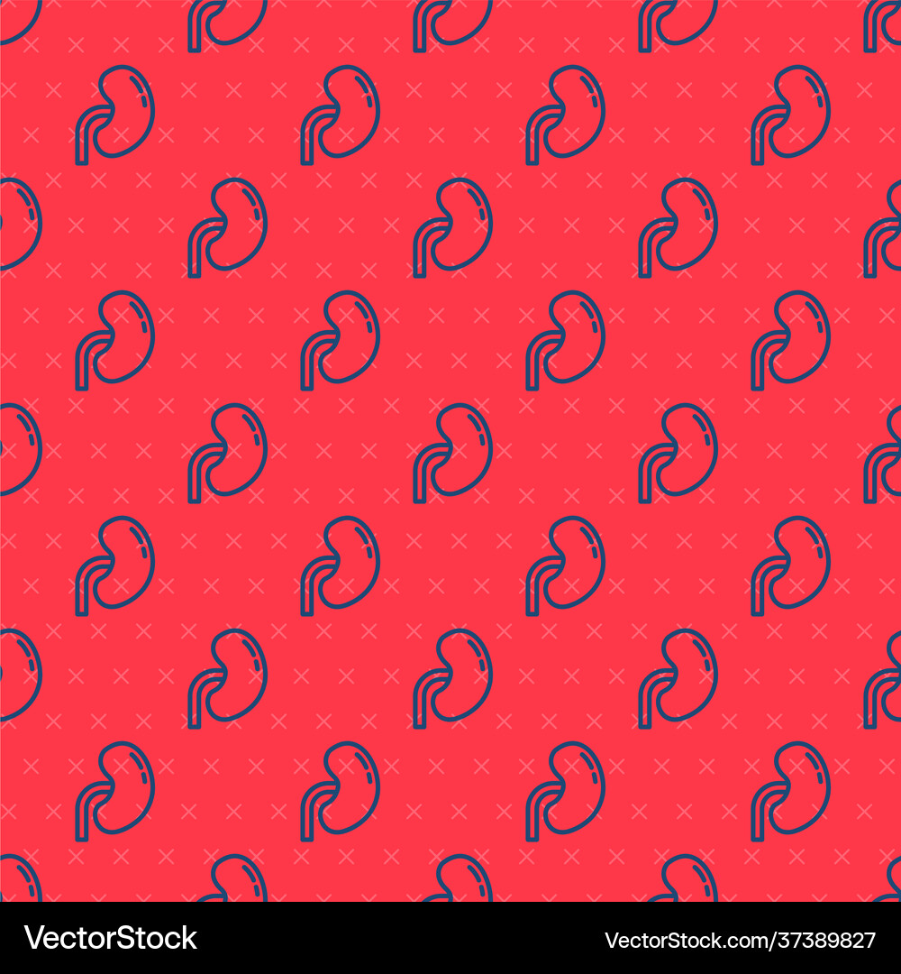 Blue line human kidney icon isolated seamless Vector Image