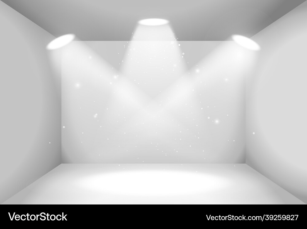 Realistic empty space of the white box Royalty Free Vector