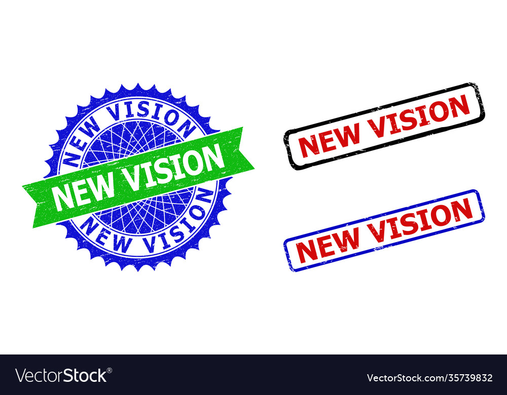 New vision rosette and rectangle bicolor Vector Image