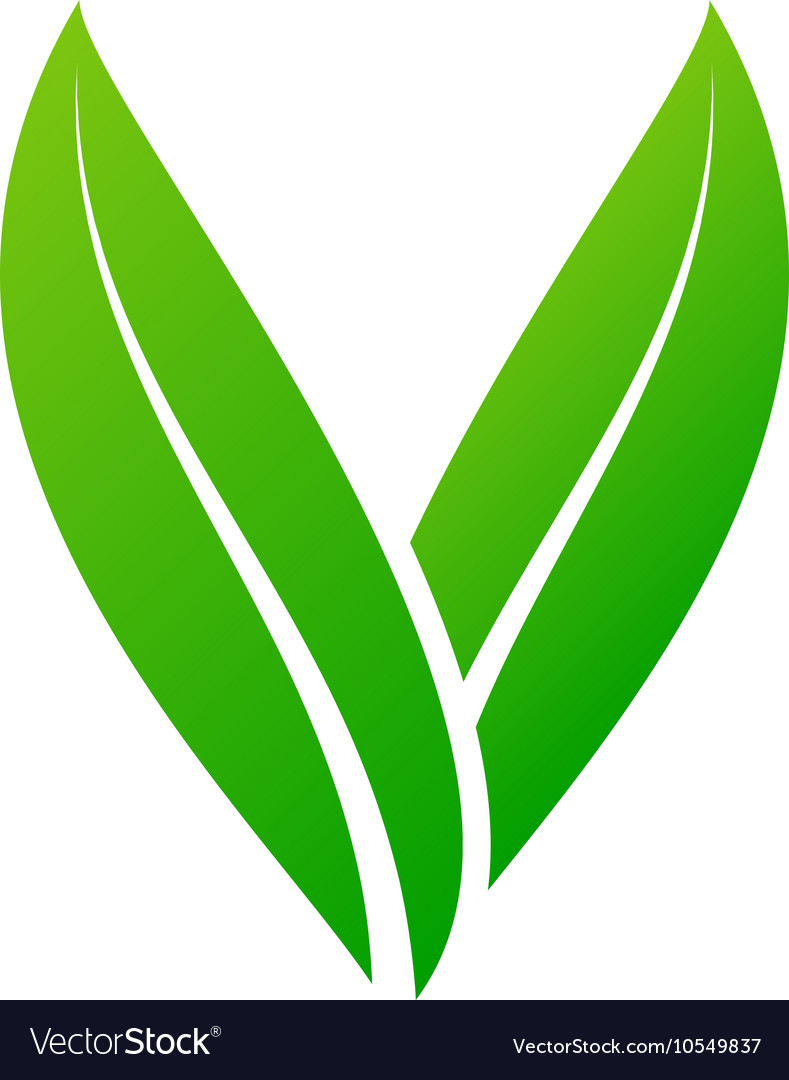 Leaf icon Royalty Free Vector Image - VectorStock