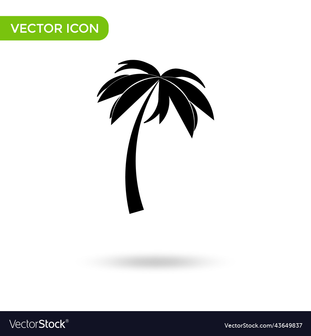 Palm tree icon minimal and creative isolated Vector Image