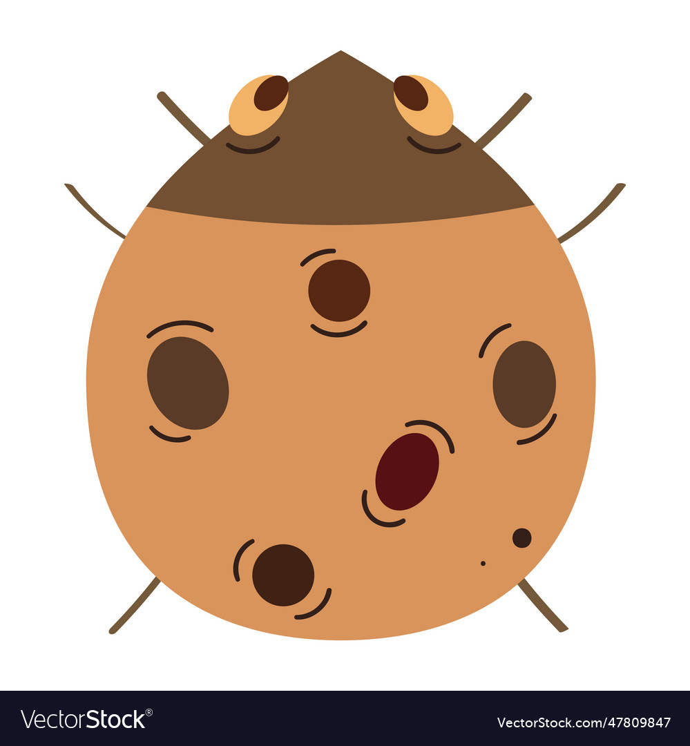 Isolated Colored Ladybug Sketch Character Vector Image