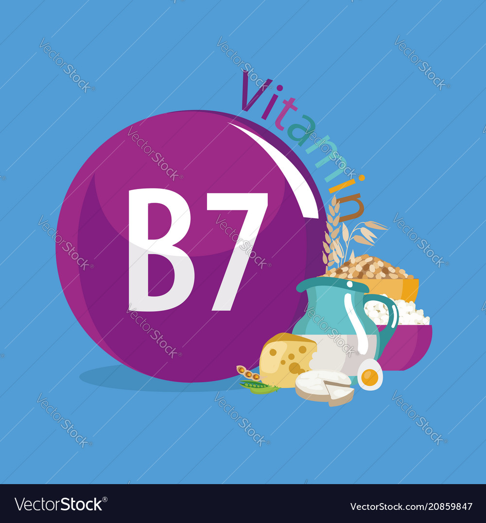 Vitamin b7 Royalty Free Vector Image - VectorStock