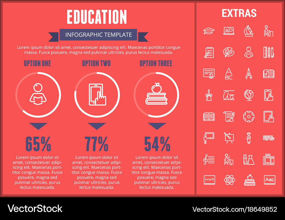 Education infographic template elements and icons Vector Image