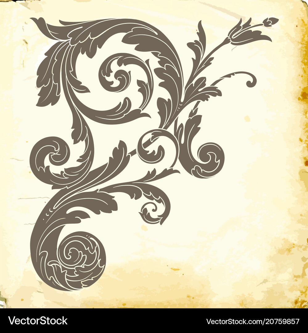 Baroque of vintage elements for design Royalty Free Vector
