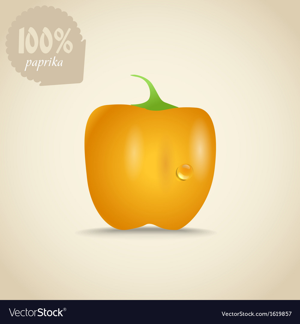 Cute fresh yellow paprica Royalty Free Vector Image Cute fresh yellow paprica Royalty Free Vector Image