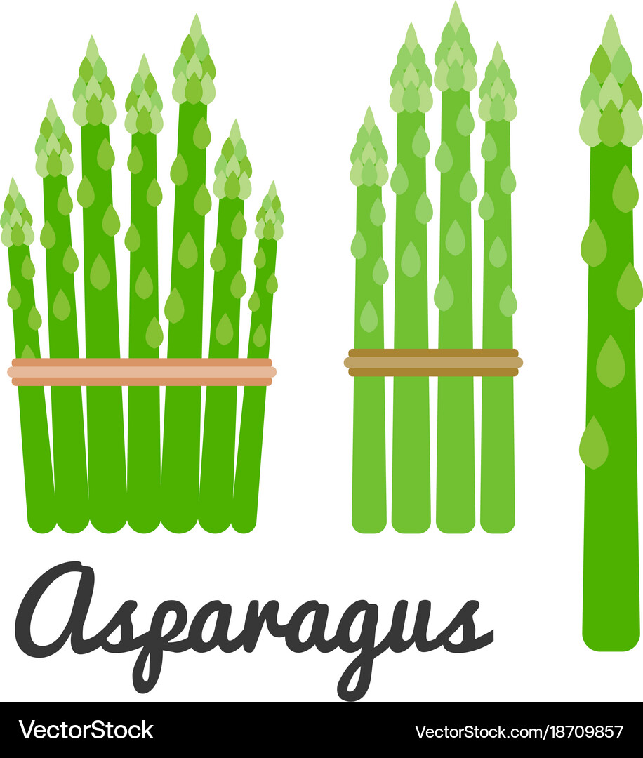 Set of vegetable asparagus icon Royalty Free Vector Image