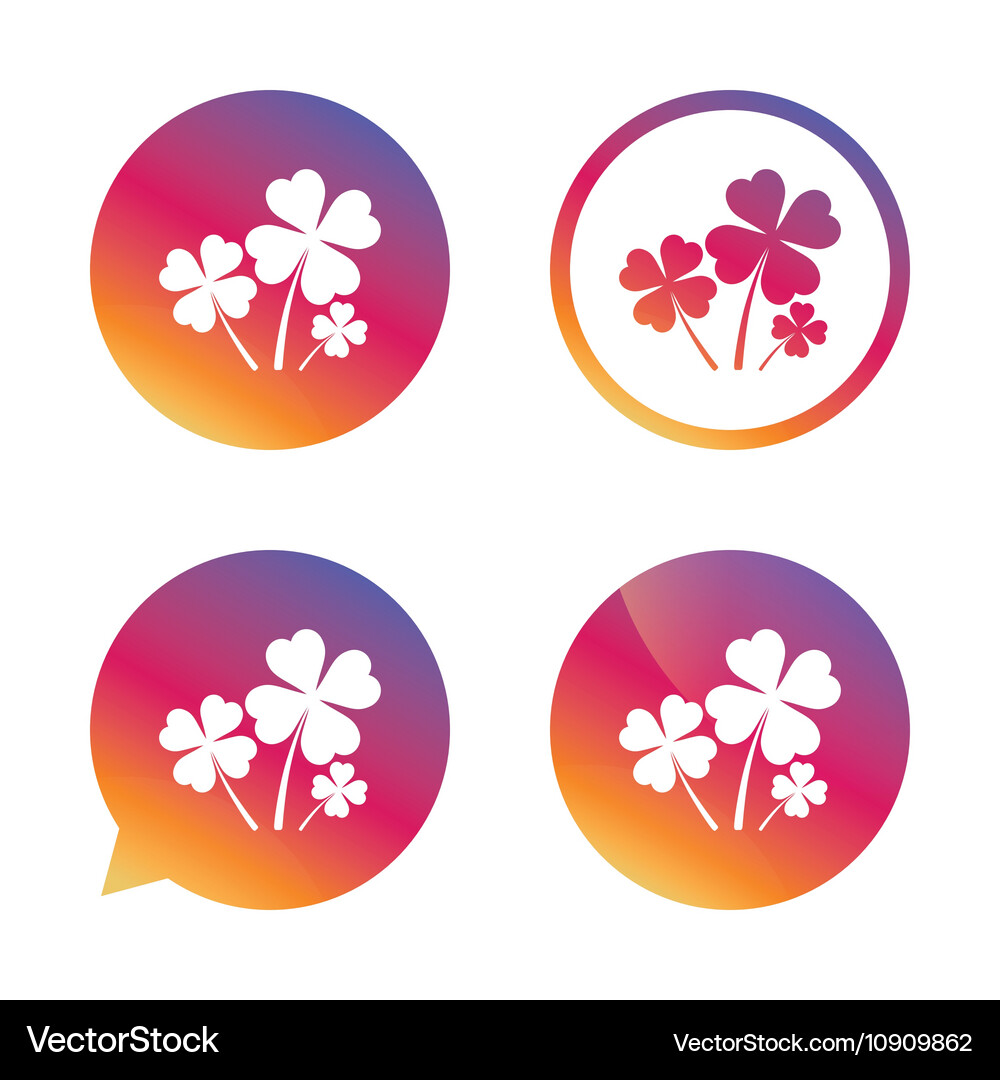 Clovers with four leaves sign st patrick symbol Vector Image