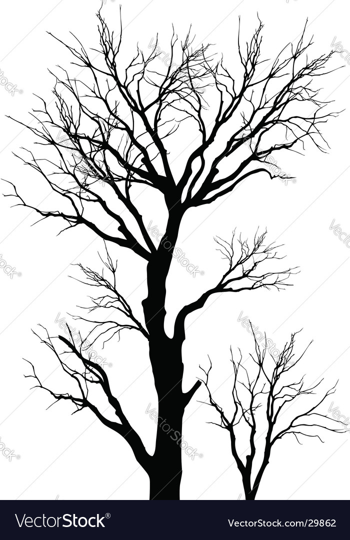 Trees Royalty Free Vector Image - VectorStock