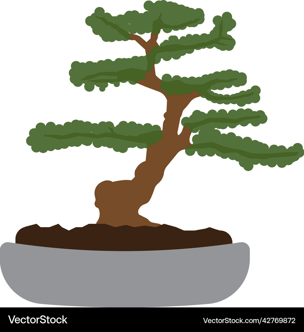 Bonsai ornamental plant icon Royalty Free Vector Image