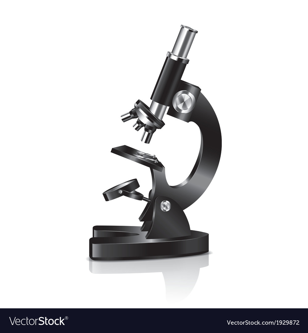 Object microscope Royalty Free Vector Image - VectorStock