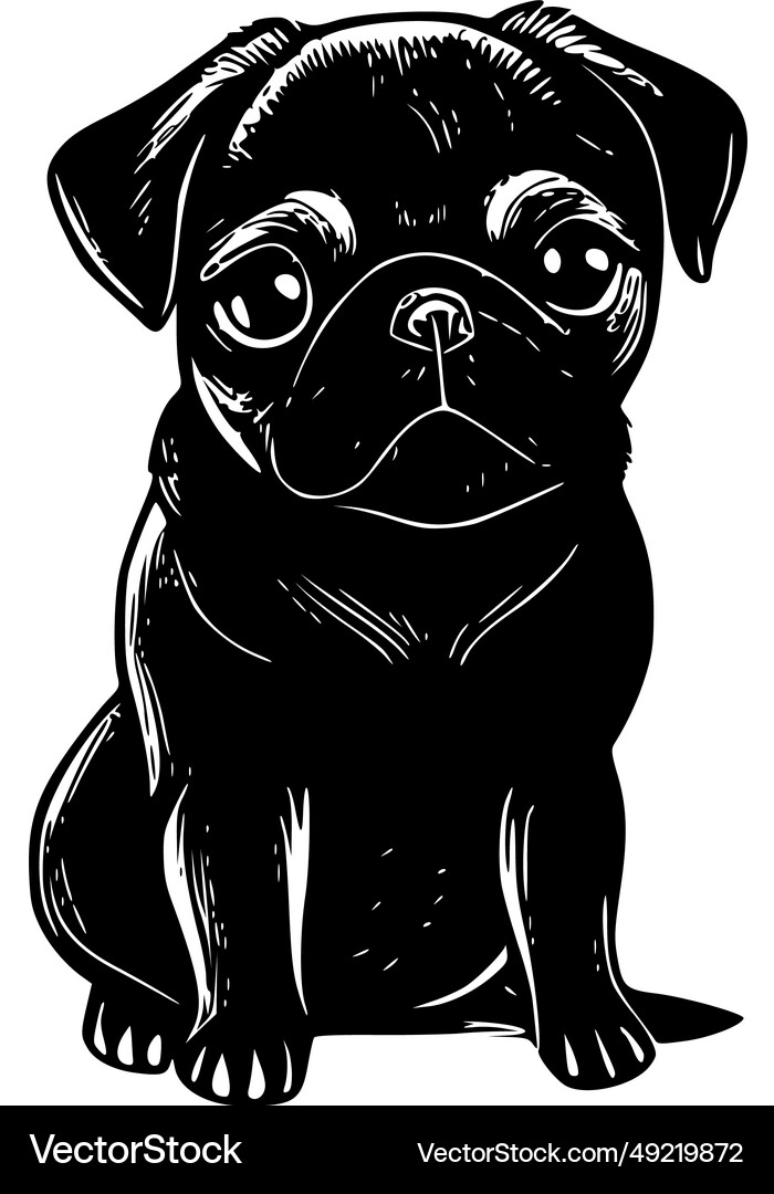 Pug - black and white isolated icon Royalty Free Vector