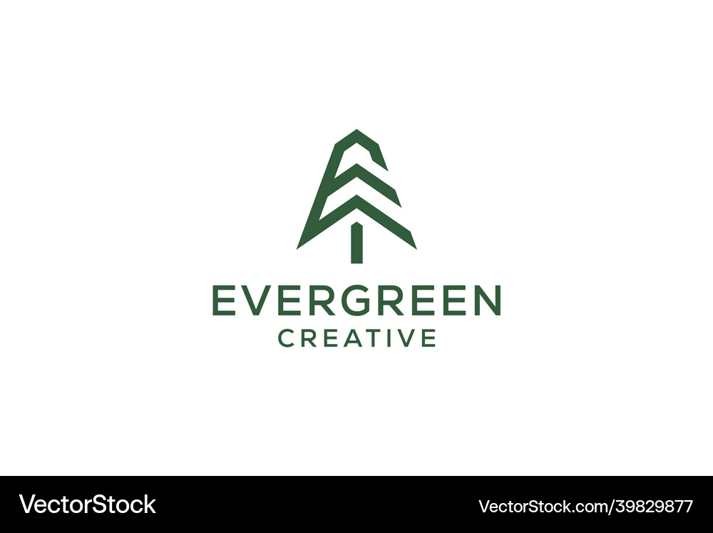 Letter e pine evergreen fir hemlock spruce Vector Image