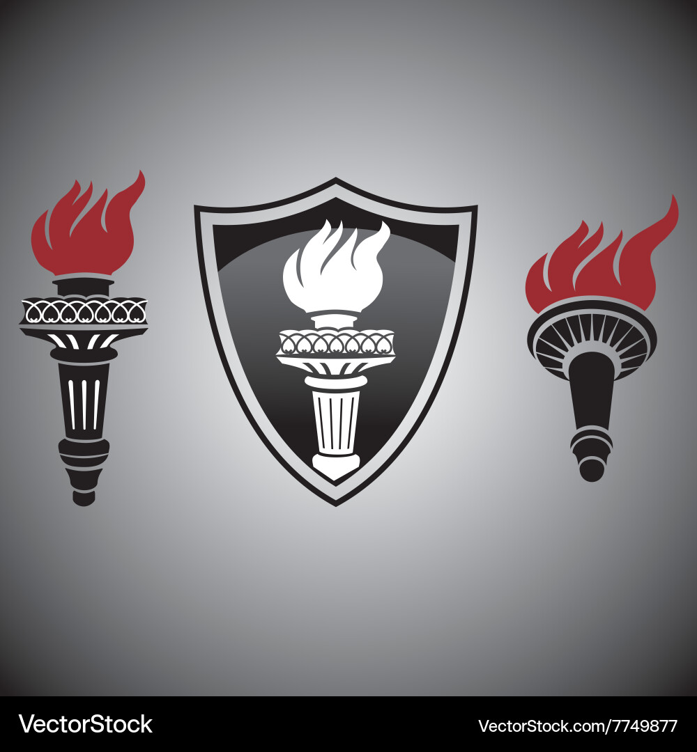 Torch with fire signs and symbols Royalty Free Vector Image