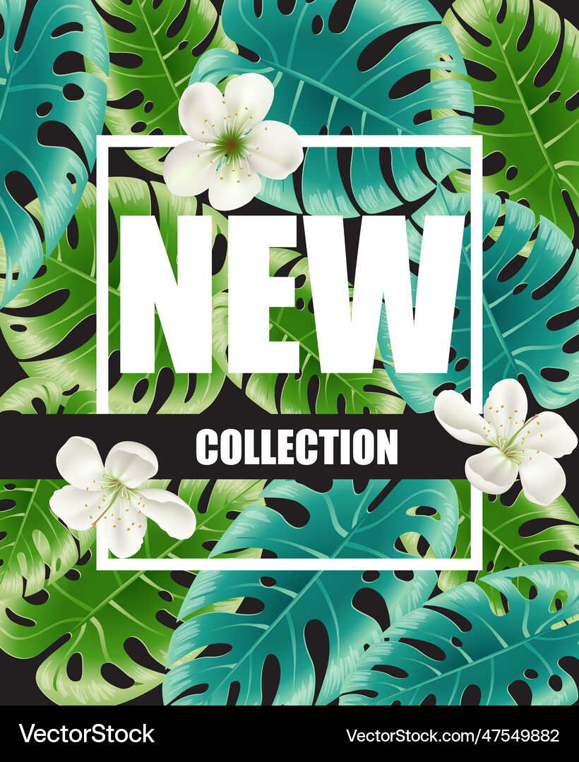 New collection poster design with blossoms Vector Image