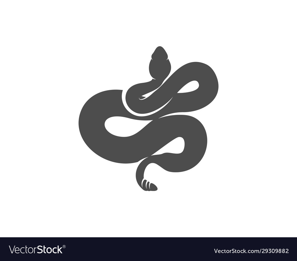 Viper snake logo design animal graphic snake Vector Image