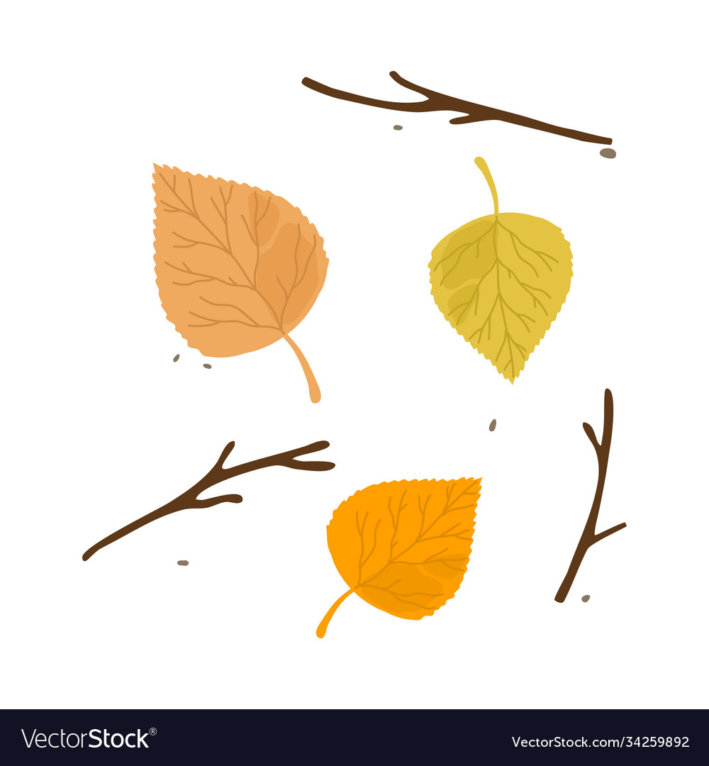 Colorful aspen fallen autumn seasonal leaf from Vector Image