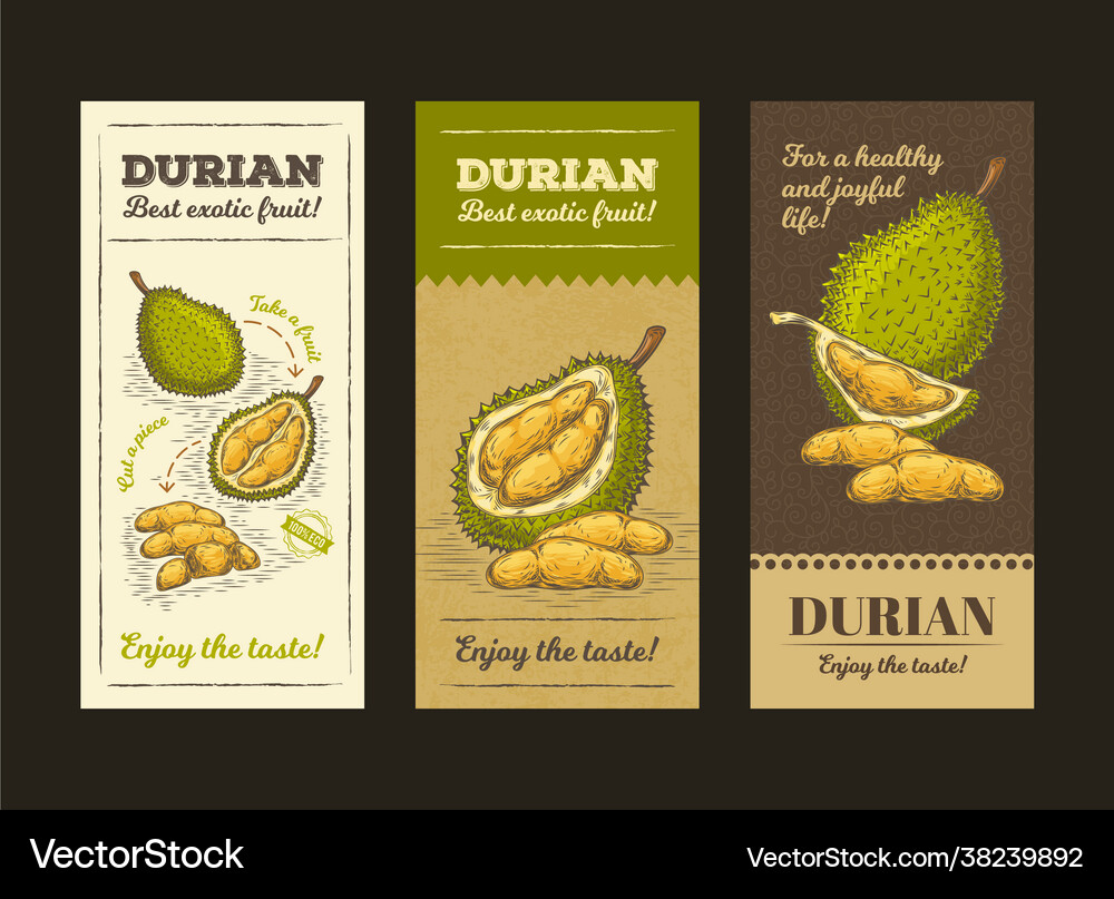 In design packing for durian fruit template moc up