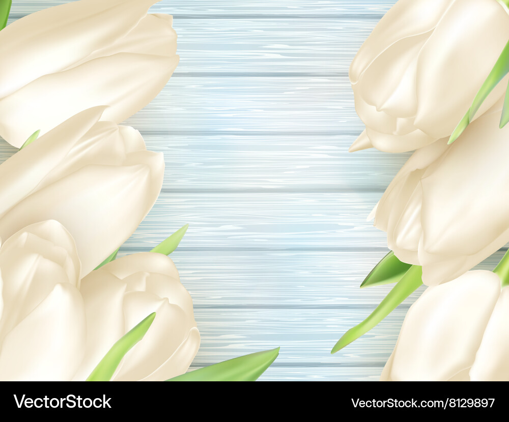 Bouquet white tulips eps 10 Royalty Free Vector Image