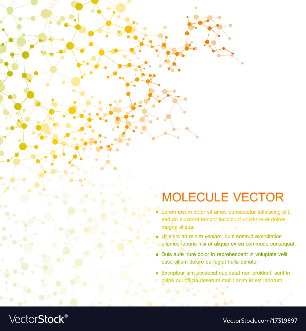 Structure molecule and communication dna atom Vector Image