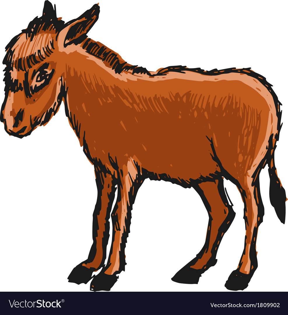 Donkey Royalty Free Vector Image - VectorStock
