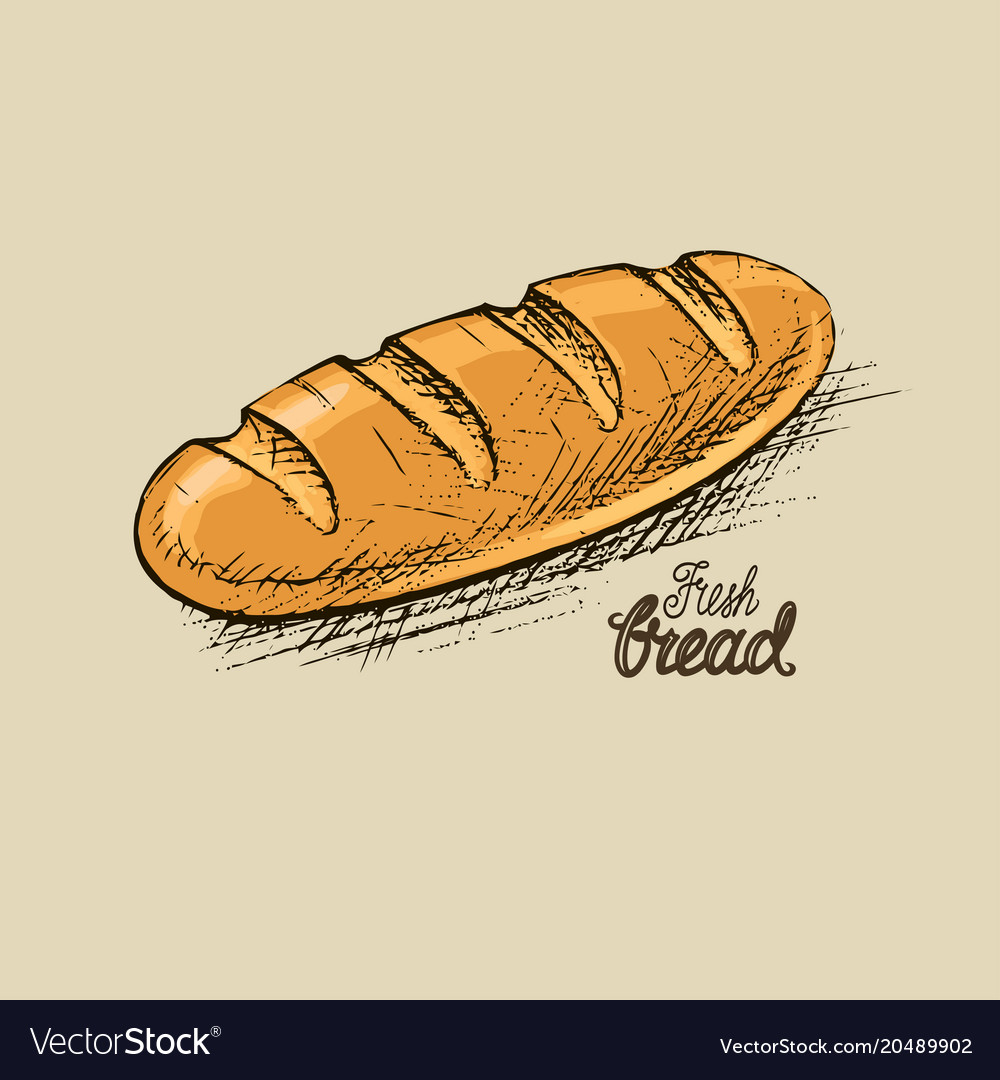 Fresh bread Royalty Free Vector Image - VectorStock