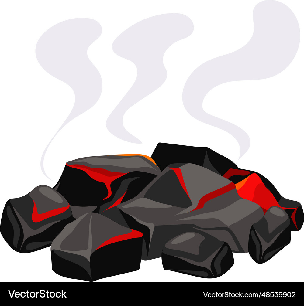 Smoking burnt coal starting fire for camping or Vector Image