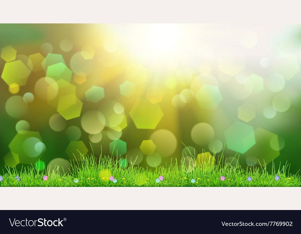 Spring background Royalty Free Vector Image - VectorStock