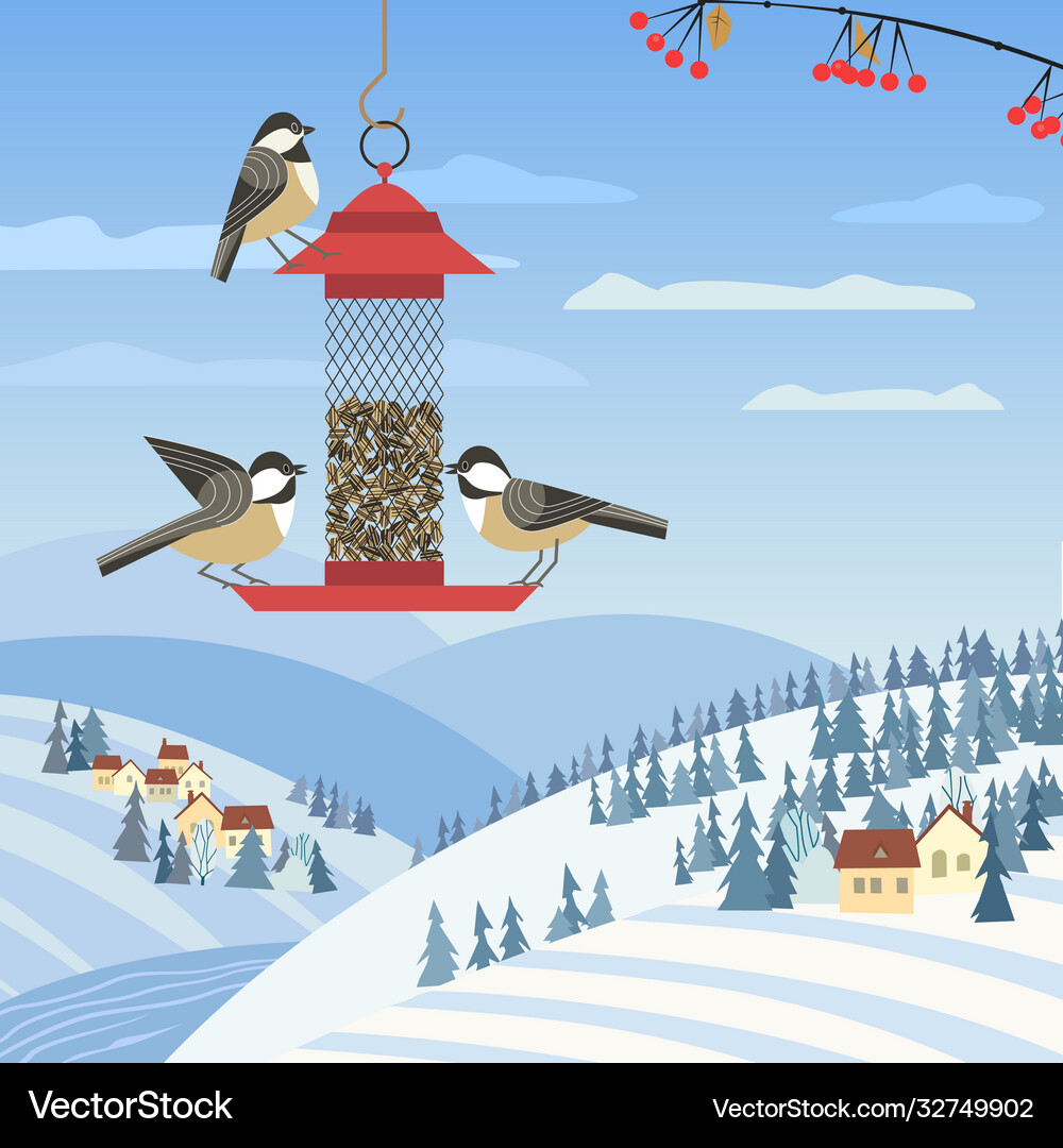 Wild birds feeding Royalty Free Vector Image - VectorStock