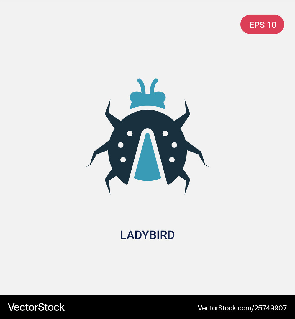 Two color ladybird icon from animals concept Vector Image