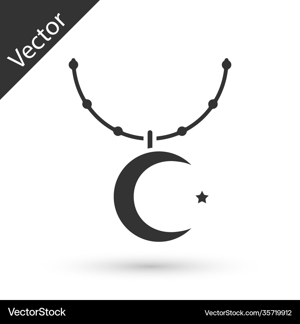 Grey star and crescent on chain - symbol islam Vector Image