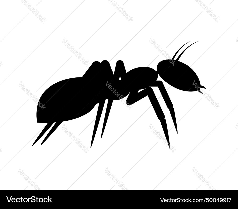 Ant silhouette side view Royalty Free Vector Image
