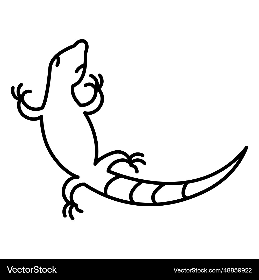 Gecko animal line art Royalty Free Vector Image