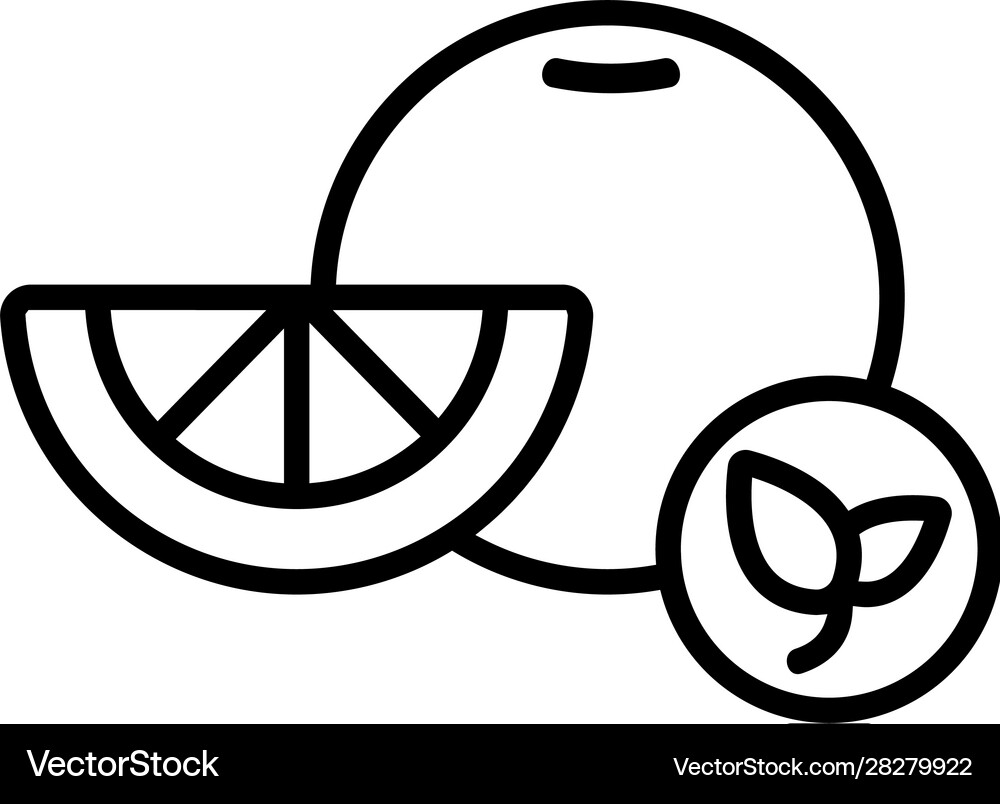 Natural orange icon isolated contour Royalty Free Vector