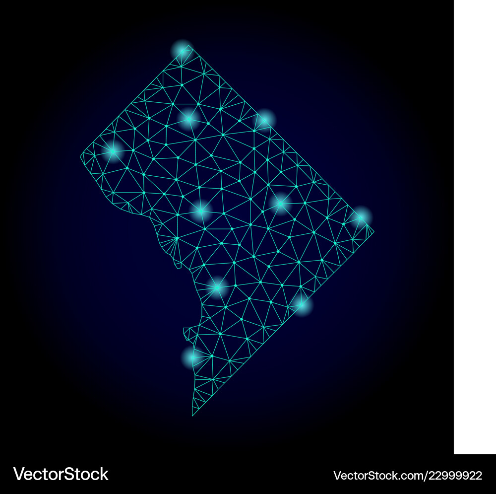 Polygonal network mesh map of district columbia Vector Image