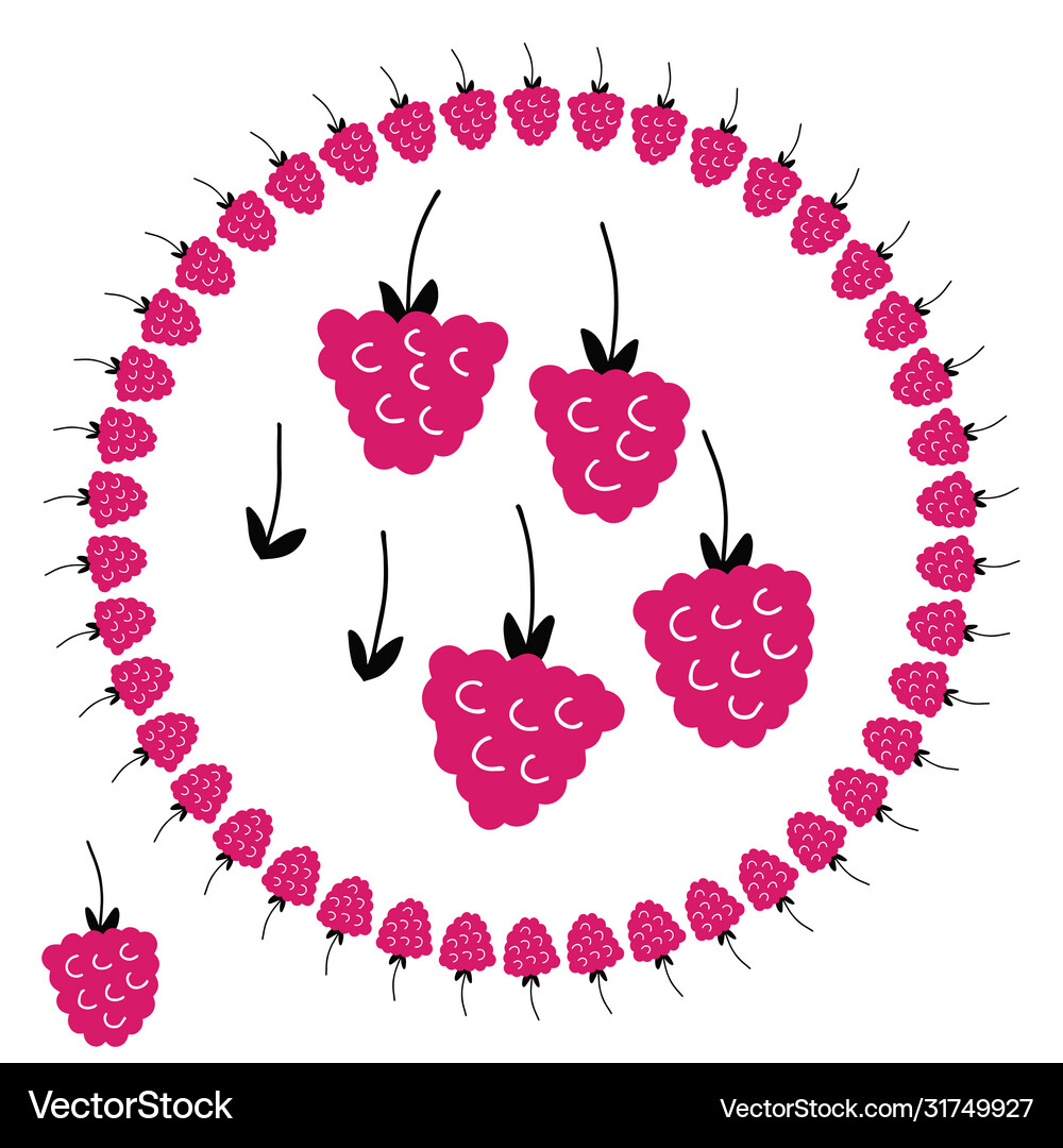 Fruit doodle brush with simple raspberries shapes Vector Image