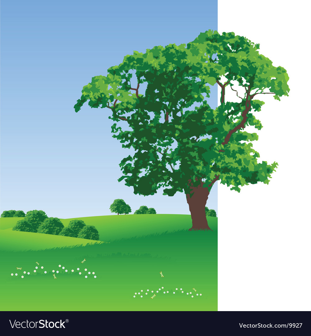 Landscape Royalty Free Vector Image - VectorStock