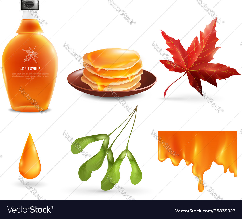 Maple syrup set Royalty Free Vector Image - VectorStock