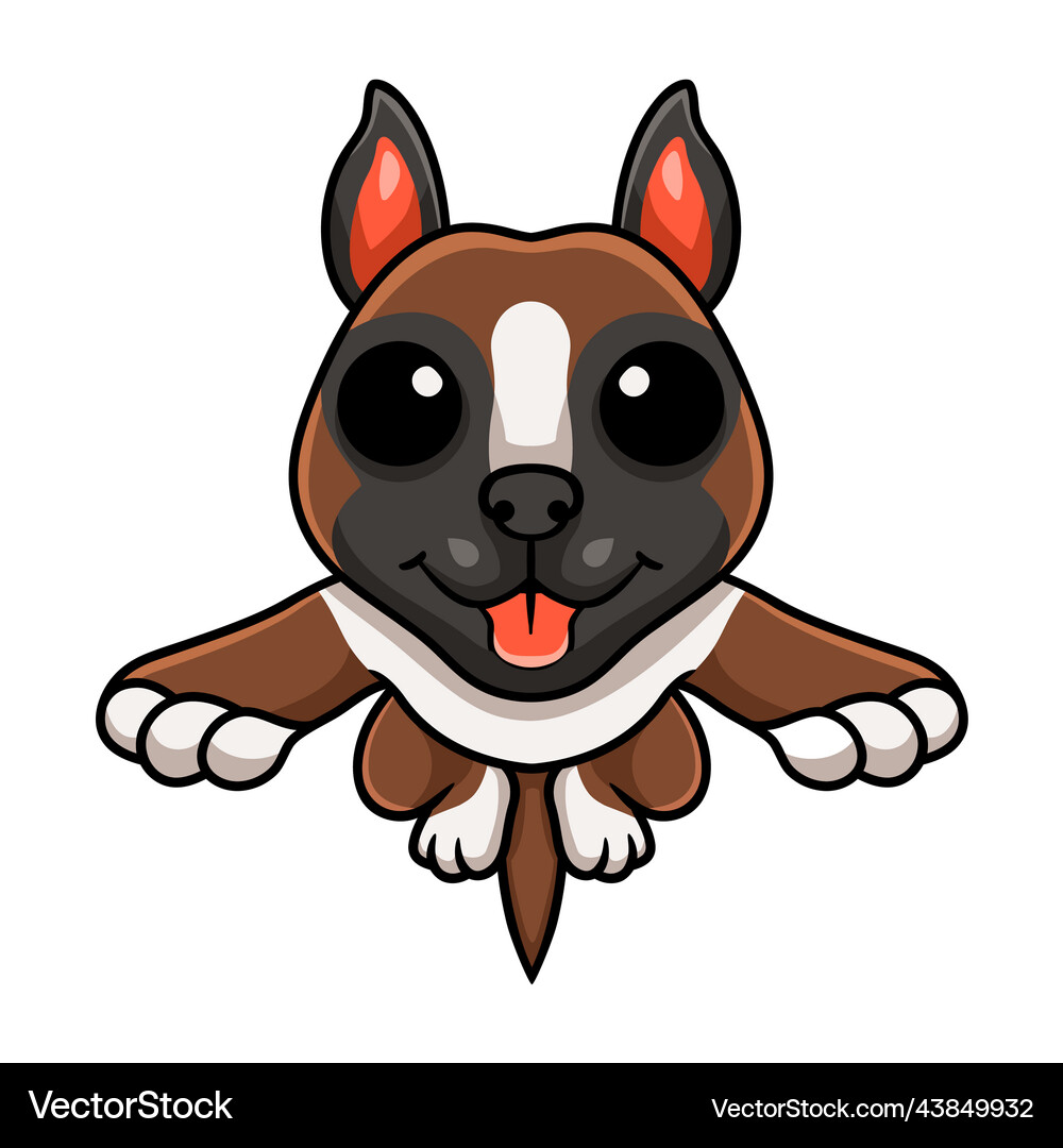 Cute little boxer dog cartoon posing Royalty Free Vector