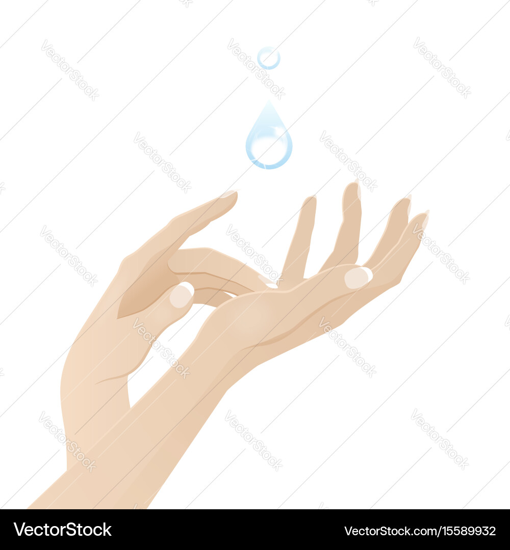 Female hands care and hygiene Royalty Free Vector Image